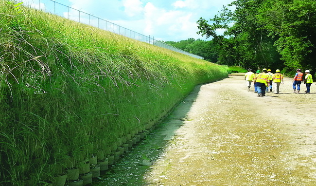 Green Slopes & Walls with Geocells